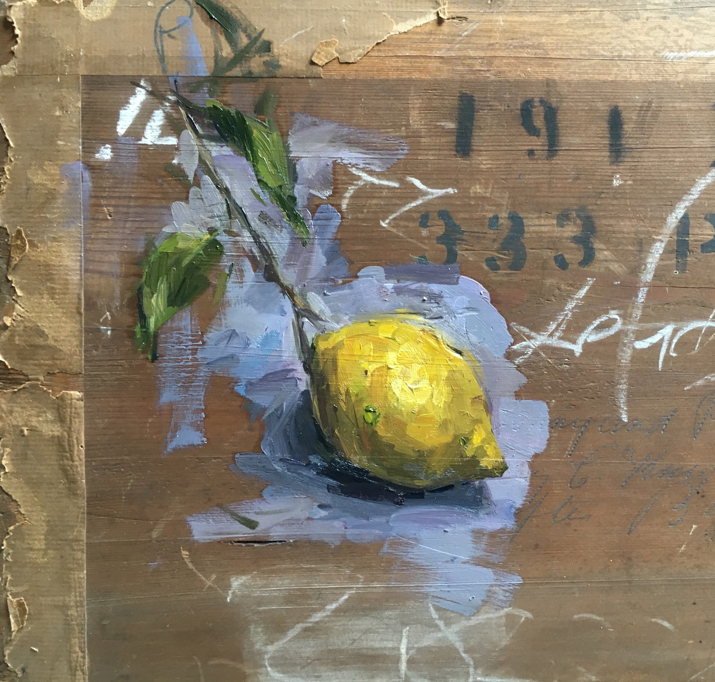 Contact - Phoebe Dickinson